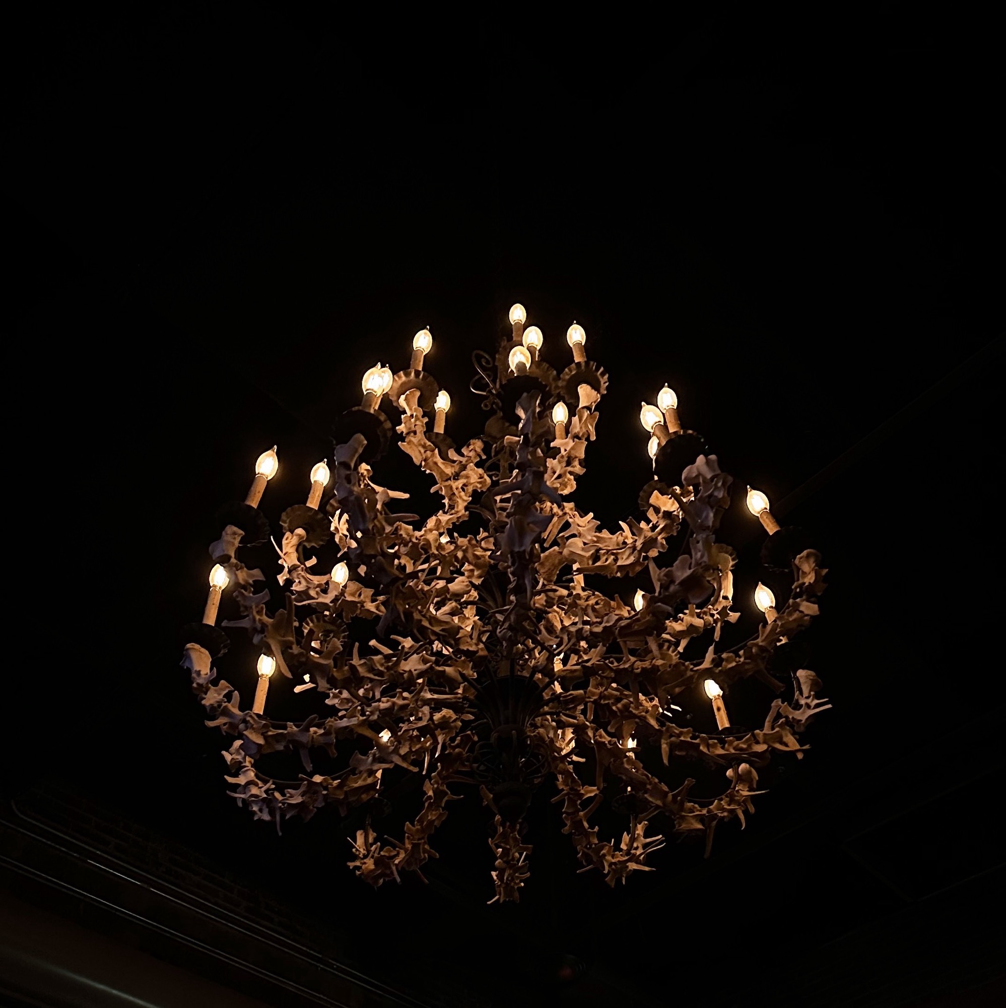 Cast The Light Elsewhere – Femme Fatalism